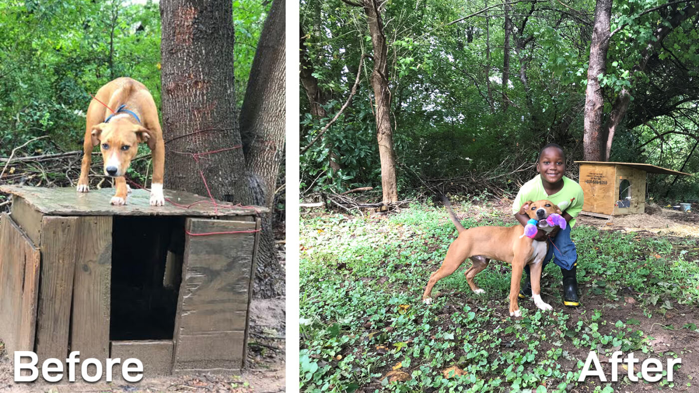 Meet PETA's Rescue Team and the Animals They Help