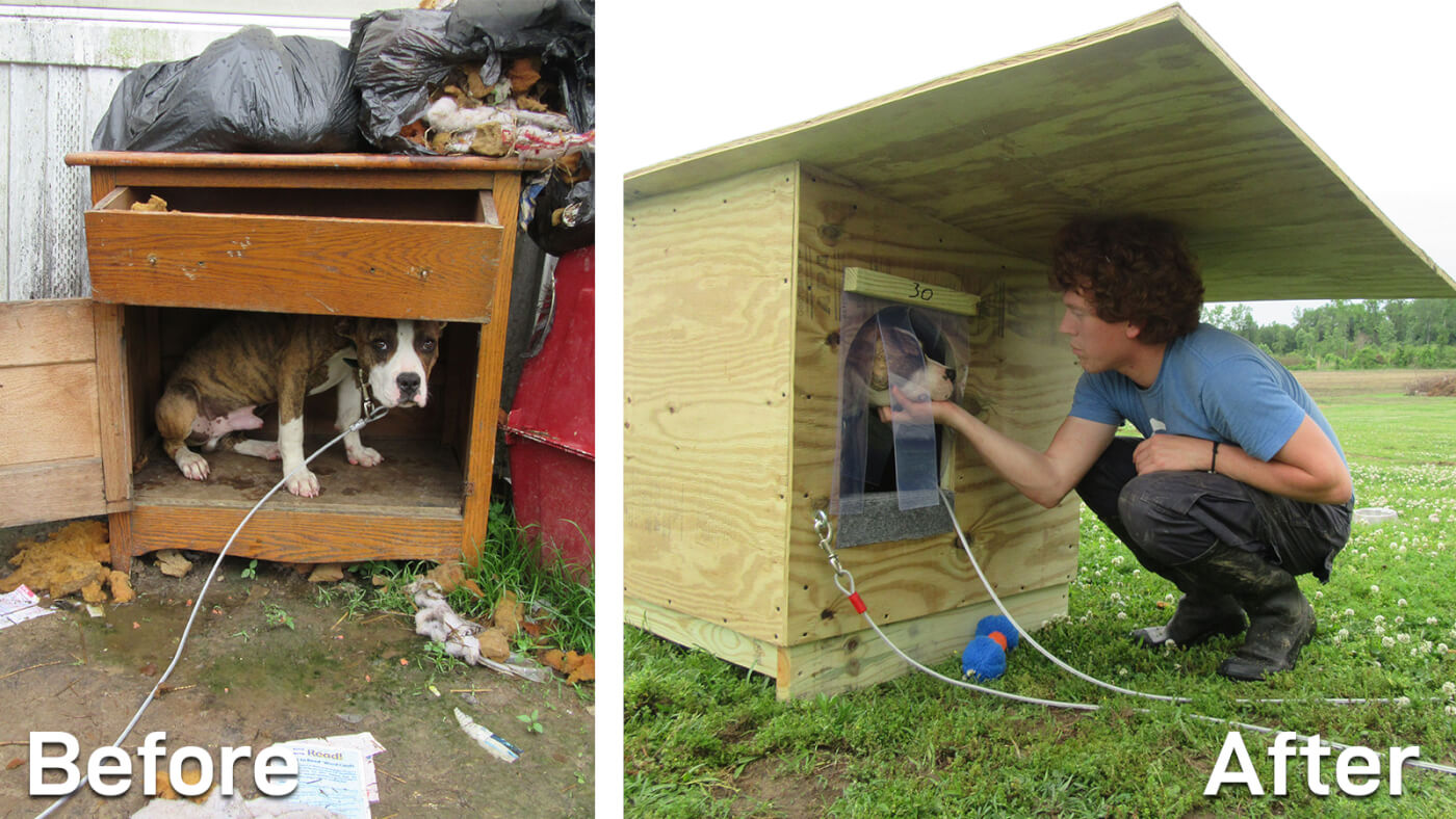 Meet PETA's Rescue Team and the Animals They Help