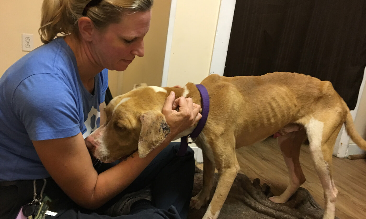 Meet PETA's Rescue Team and the Animals They Help