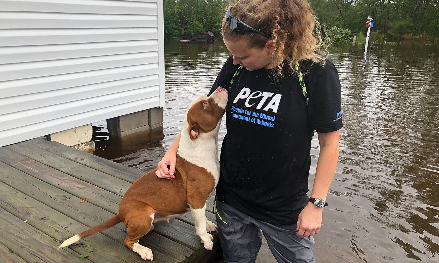 Meet PETA's Rescue Team and the Animals They Help