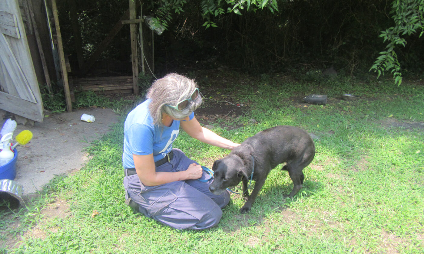 Meet PETA's Rescue Team and the Animals They Help