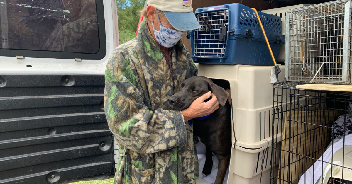 Meet PETA's Rescue Team and the Animals They Help