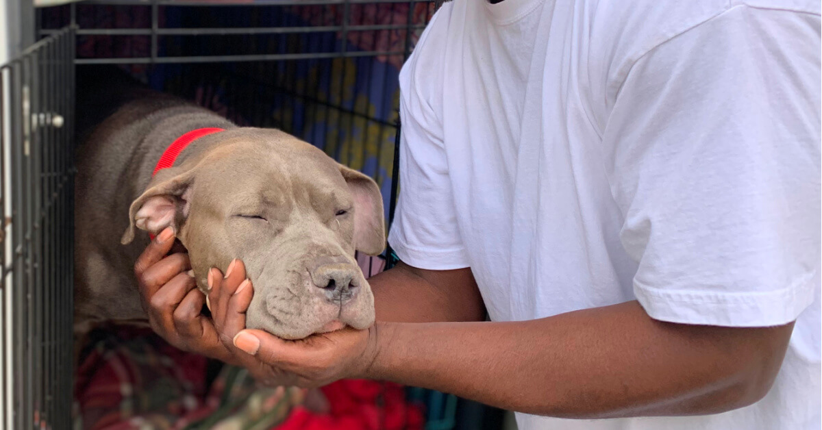 Meet PETA's Rescue Team and the Animals They Help