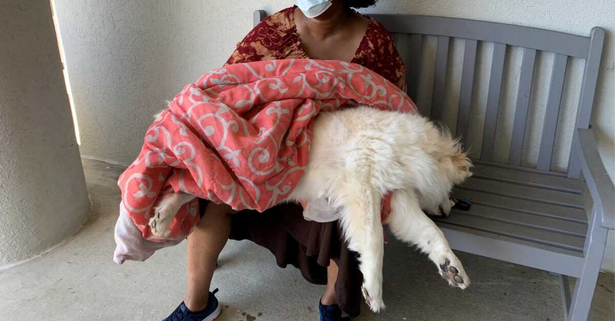 Meet PETA's Rescue Team and the Animals They Help