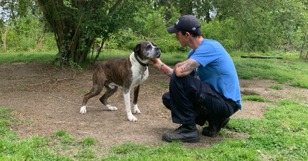 Meet PETA's Rescue Team and the Animals They Help