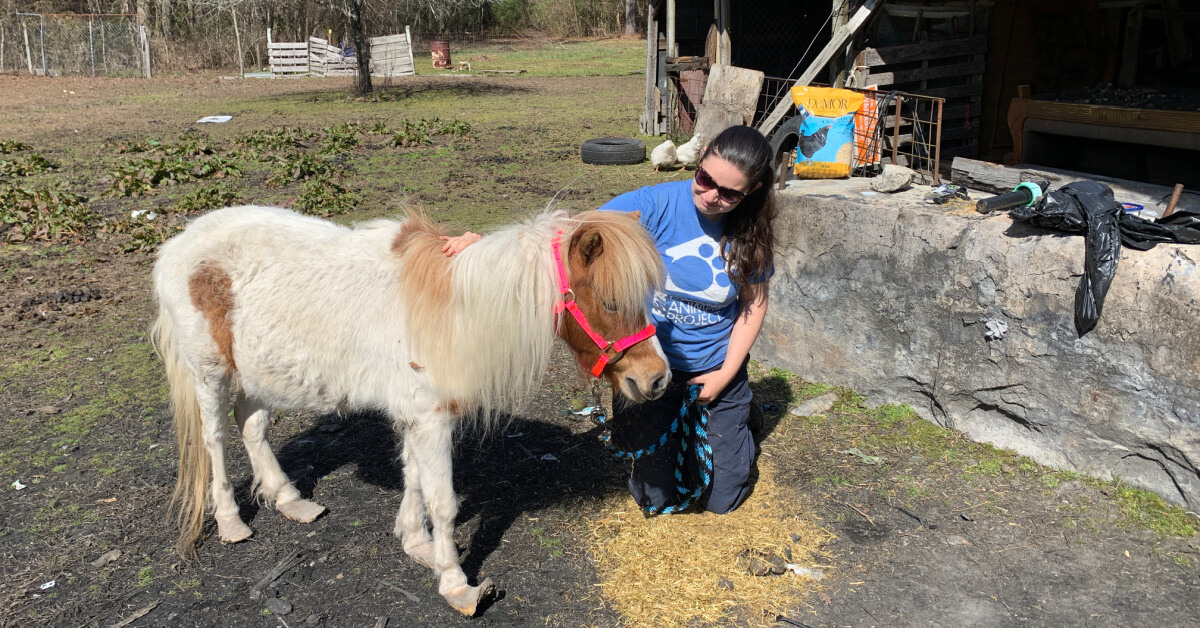 Meet PETA's Rescue Team and the Animals They Help