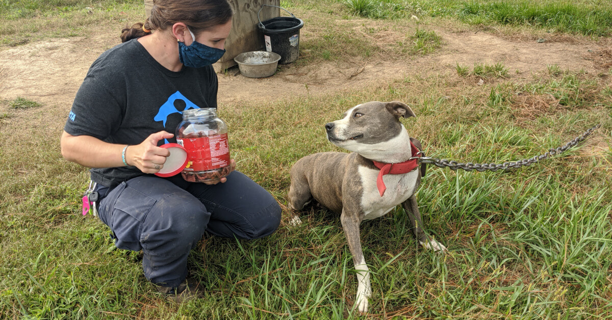 Meet PETA's Rescue Team and the Animals They Help