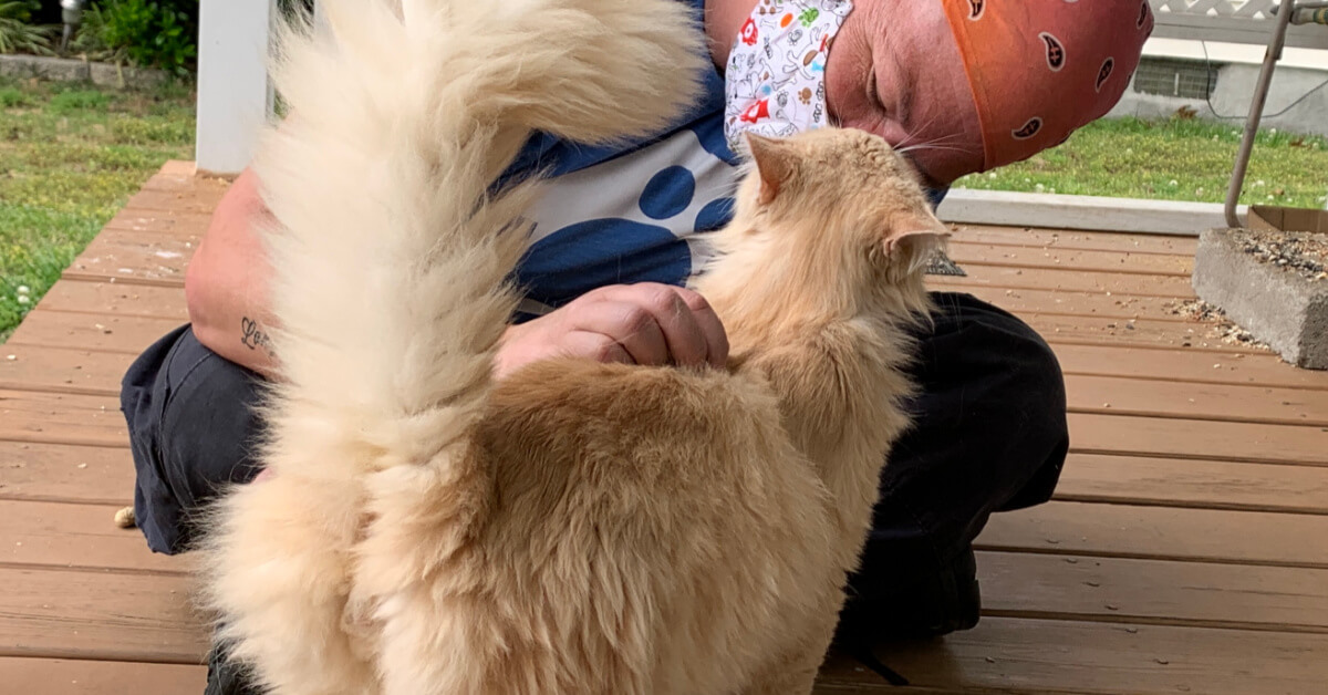 Meet PETA's Rescue Team and the Animals They Help