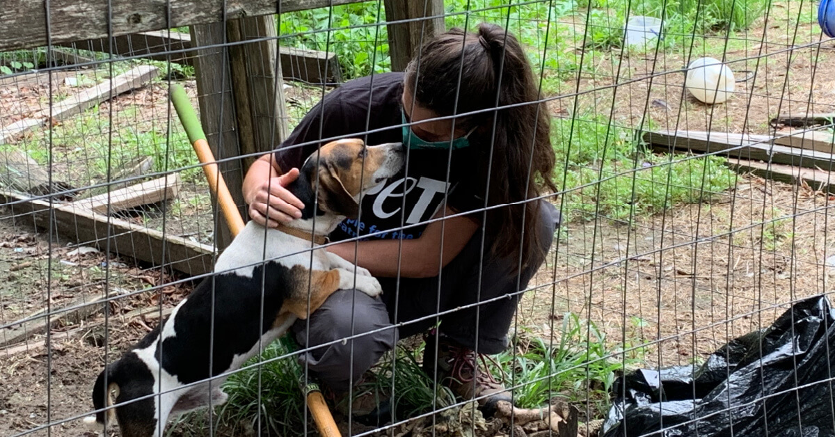 Meet PETA's Rescue Team and the Animals They Help
