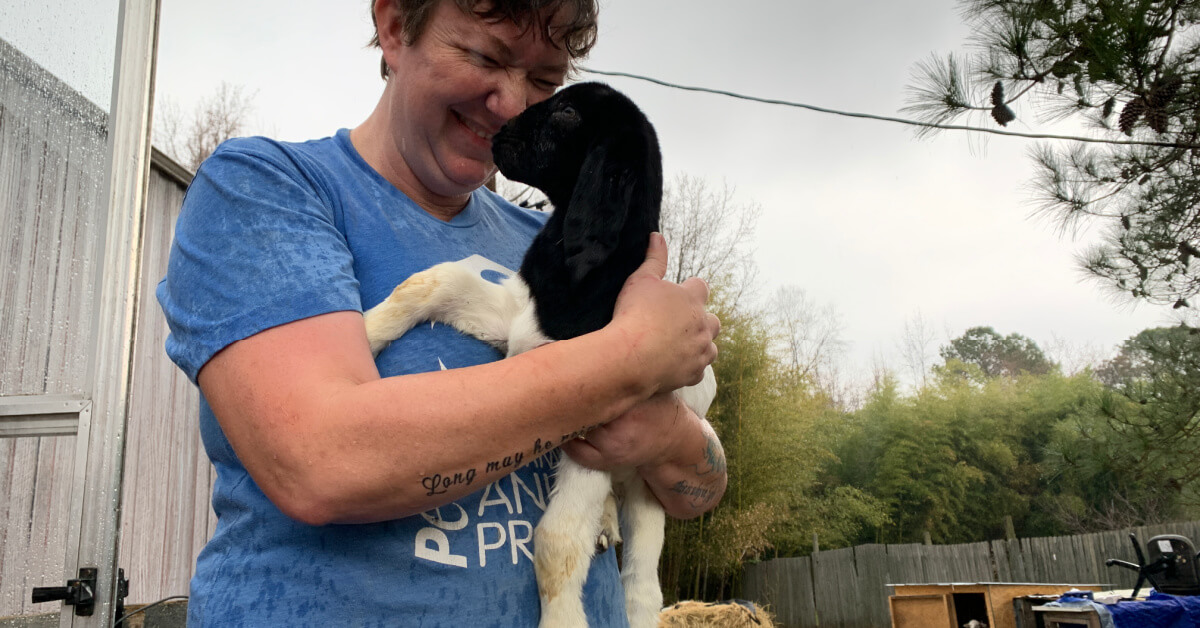 Meet PETA's Rescue Team and the Animals They Help