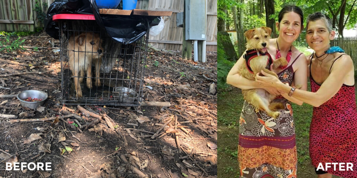 Meet PETA's Rescue Team and the Animals They Help