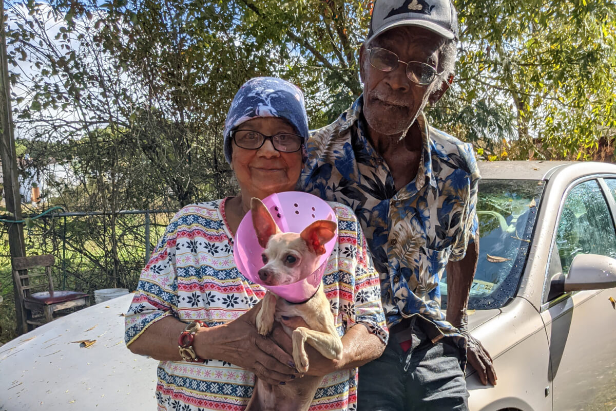 Meet PETA's Rescue Team and the Animals They Help