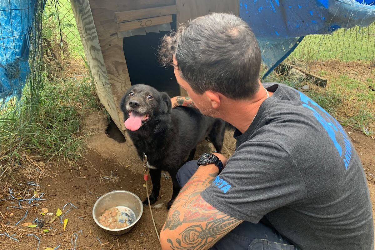 Meet PETA's Rescue Team and the Animals They Help