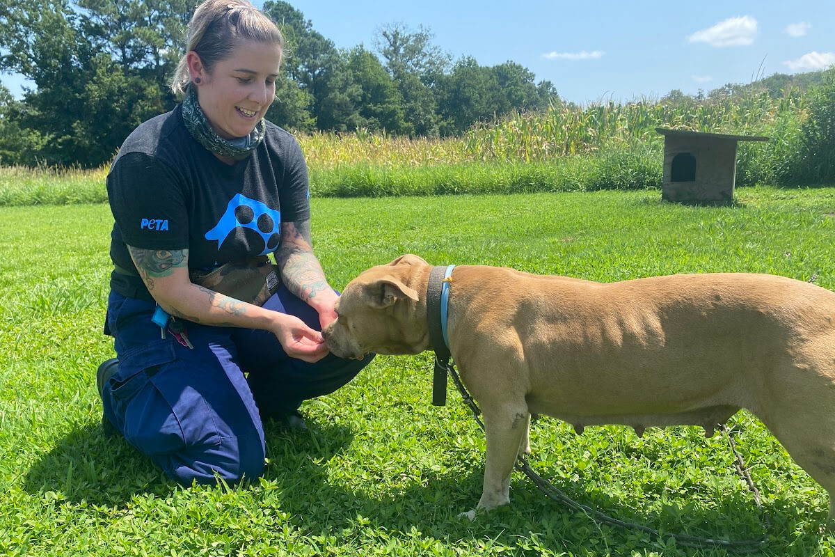 Meet PETA's Rescue Team and the Animals They Help