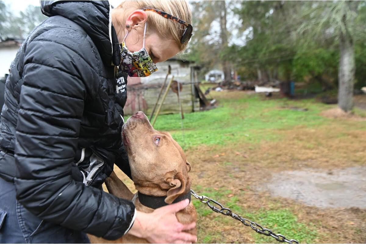 Meet PETA's Rescue Team and the Animals They Help