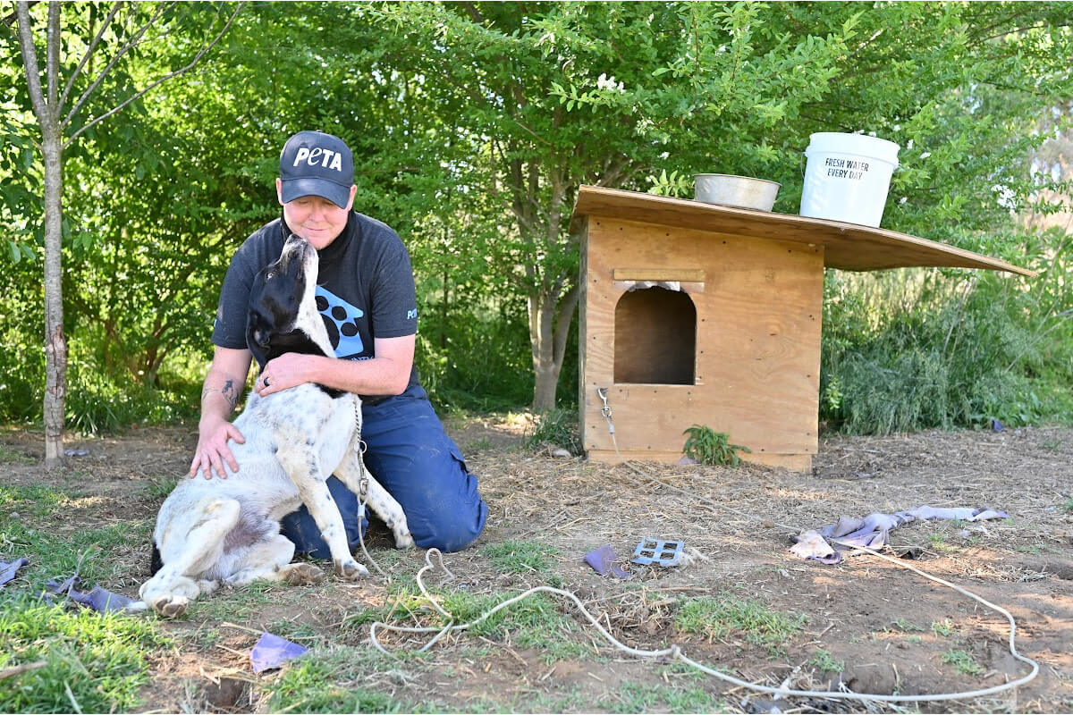 Meet PETA's Rescue Team and the Animals They Help