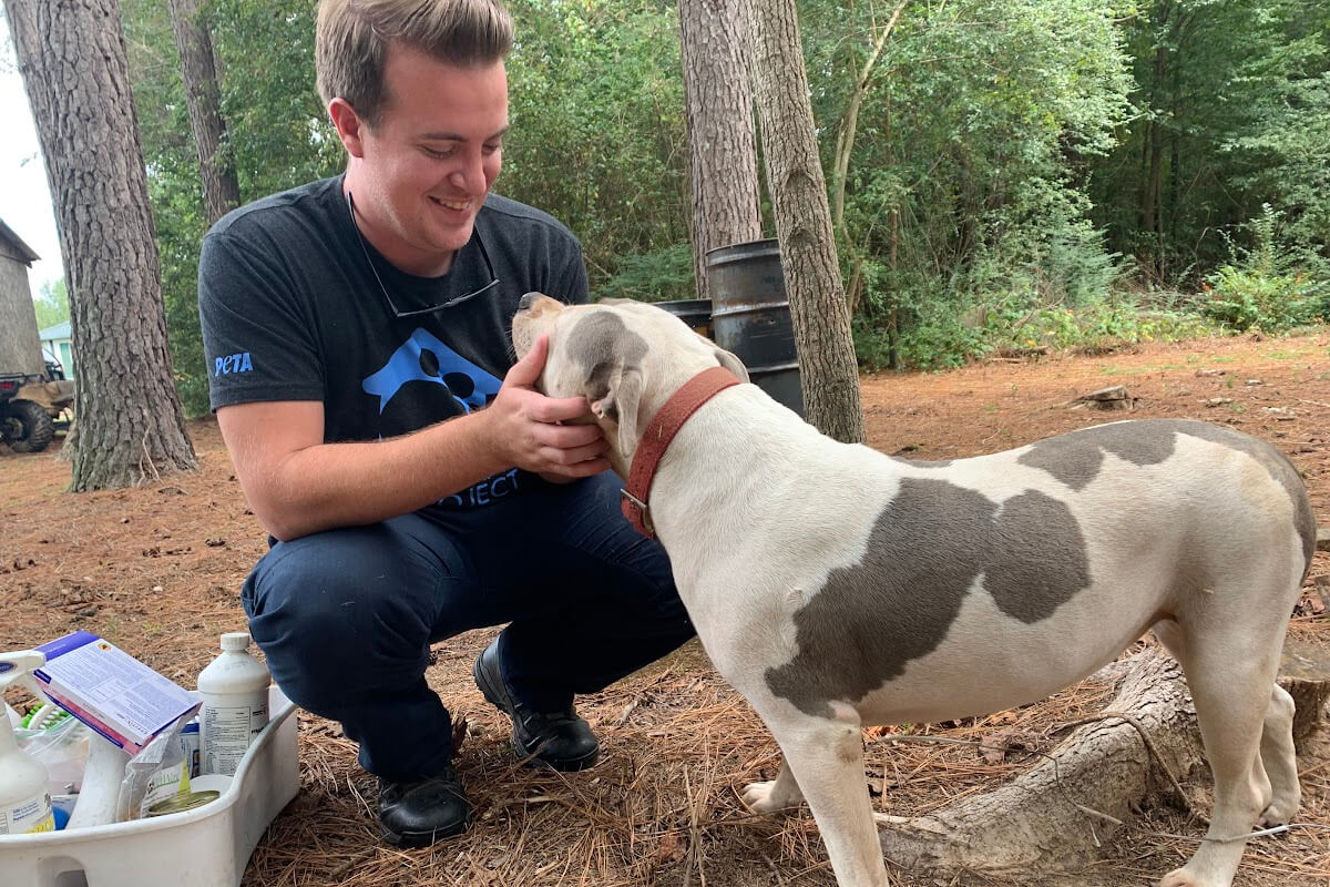 Meet PETA's Rescue Team and the Animals They Help