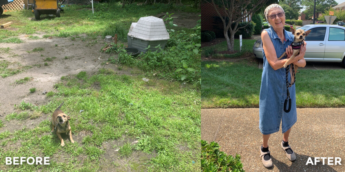 Meet PETA's Rescue Team and the Animals They Help