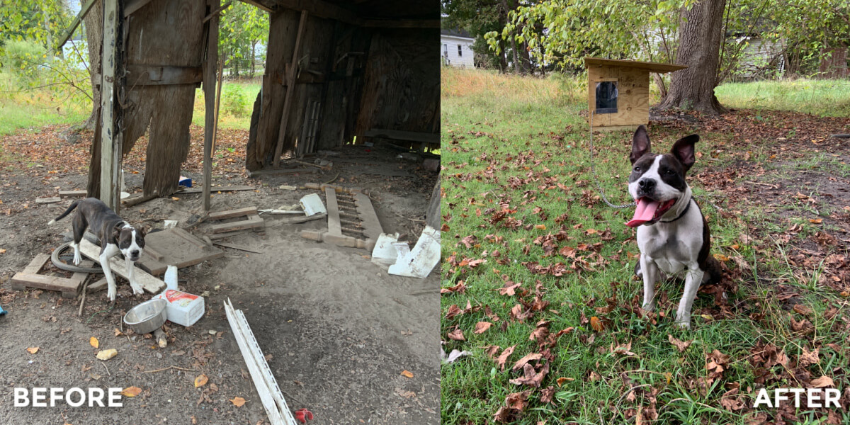 Meet PETA's Rescue Team and the Animals They Help