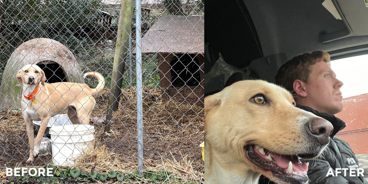 Meet PETA's Rescue Team and the Animals They Help