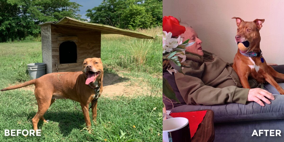 Meet PETA's Rescue Team and the Animals They Help