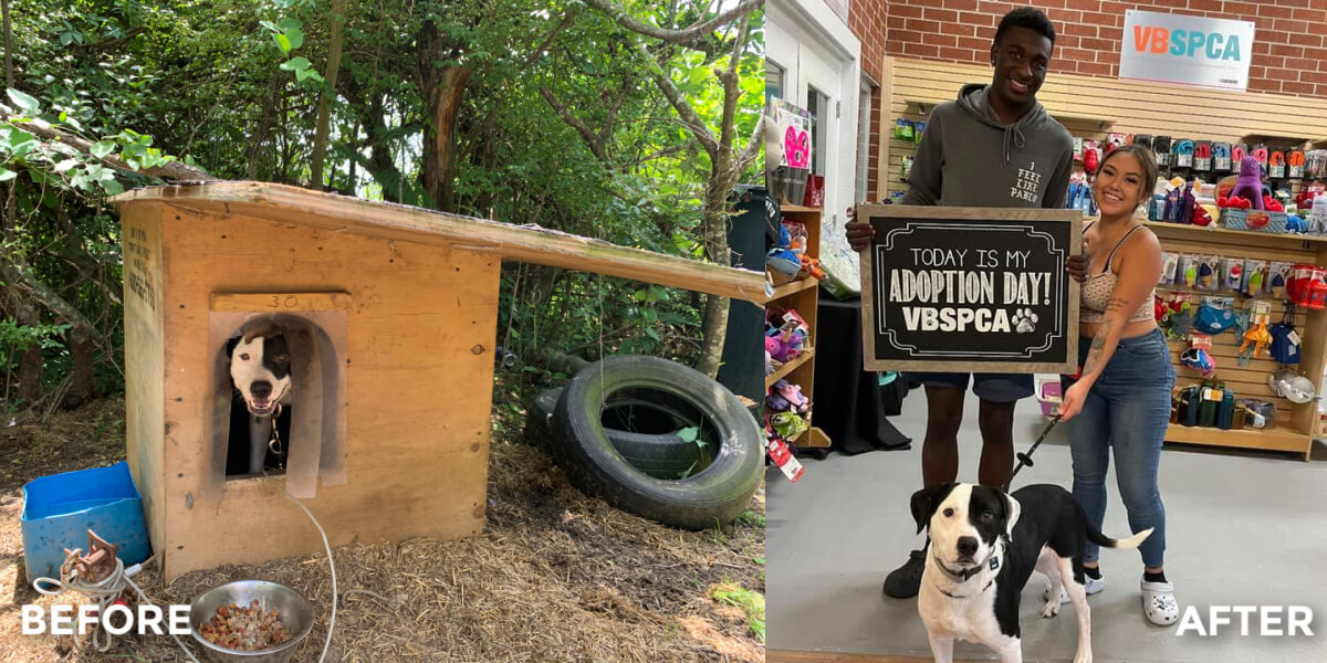 Meet PETA's Rescue Team and the Animals They Help