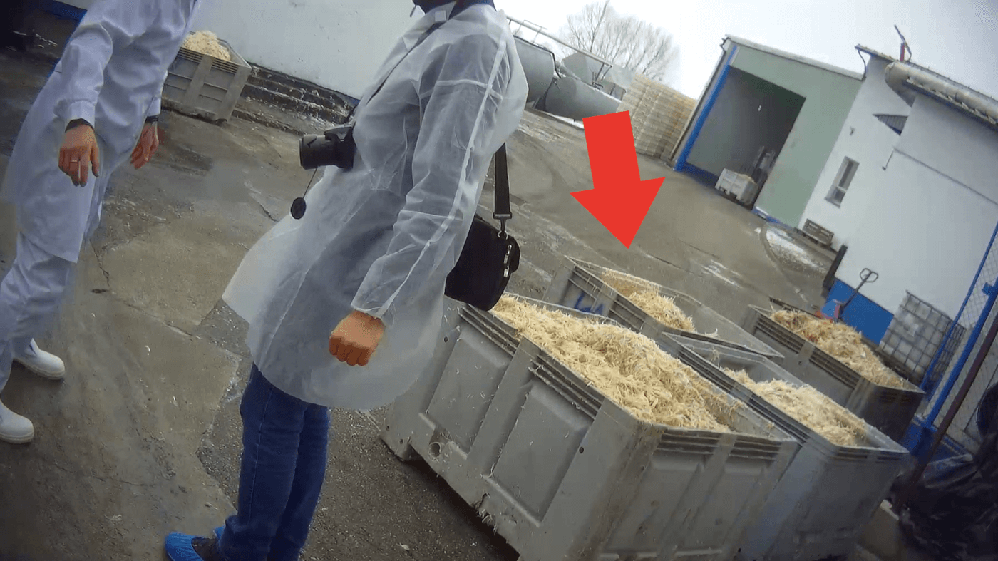 Slaughter for Down: How Birds Are Killed for Clothing | PETA