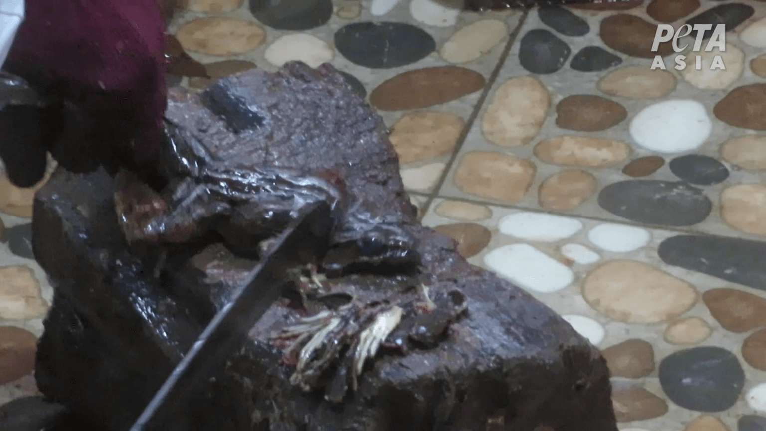 Exposing Cruelty in the Frog-Leg Industry | PETA Video