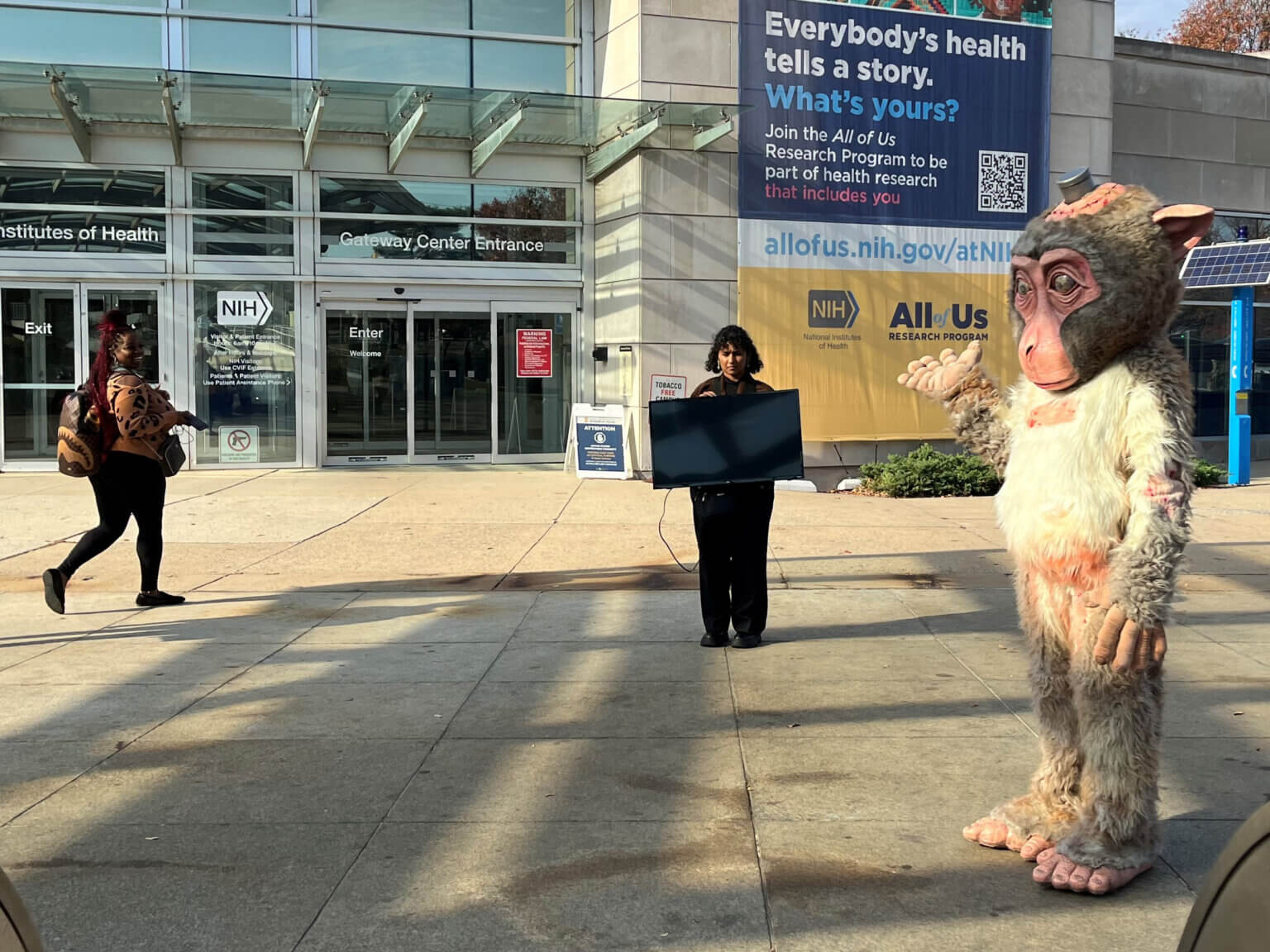 Campaign Updates: Monkey Fright Experiments at NIH | PETA