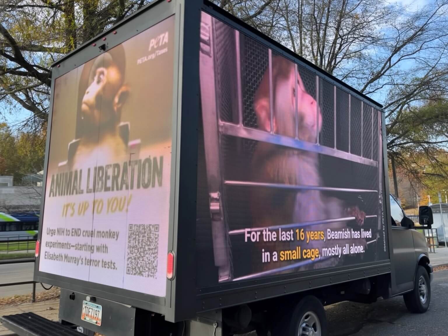 Campaign Updates: Monkey Fright Experiments at NIH | PETA