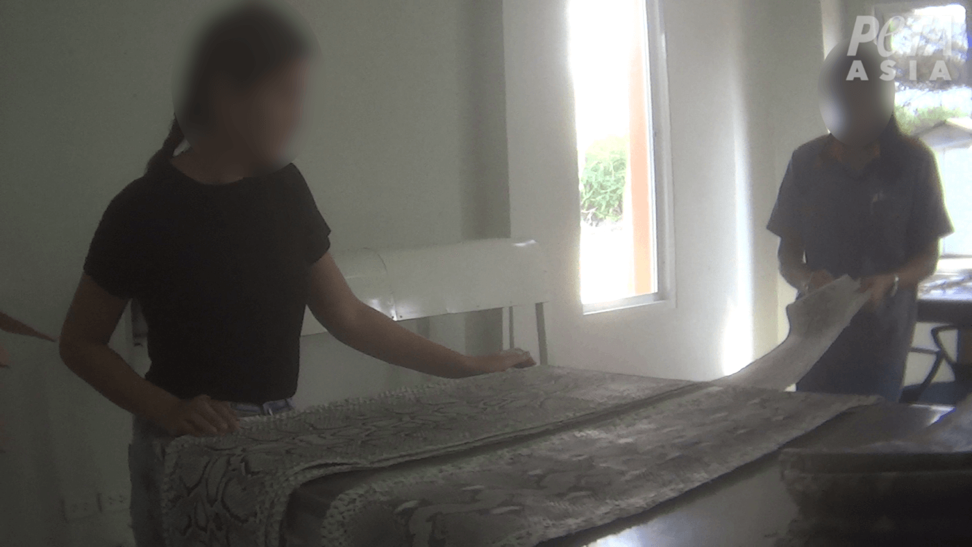 Pythons, Crocodiles Skinned for Fashion | PETA