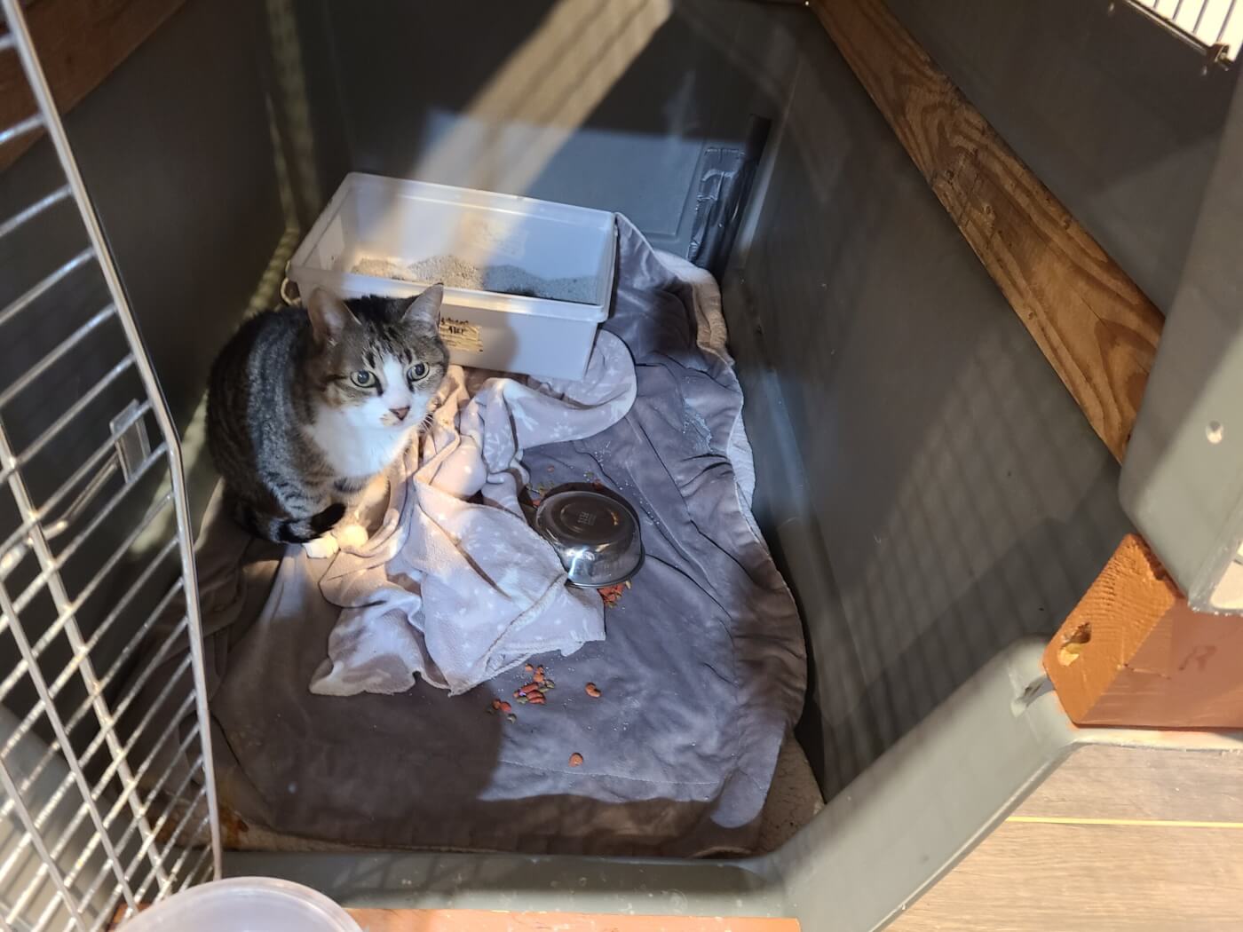 Behind-the-Scenes: Atlanta Film Animals Suffering | PETA