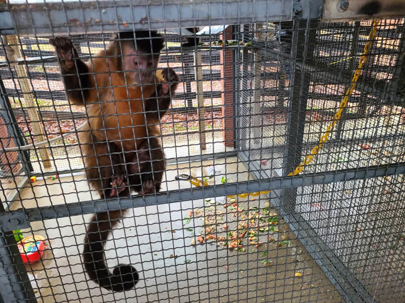 Behind-the-Scenes: Atlanta Film Animals Suffering | PETA