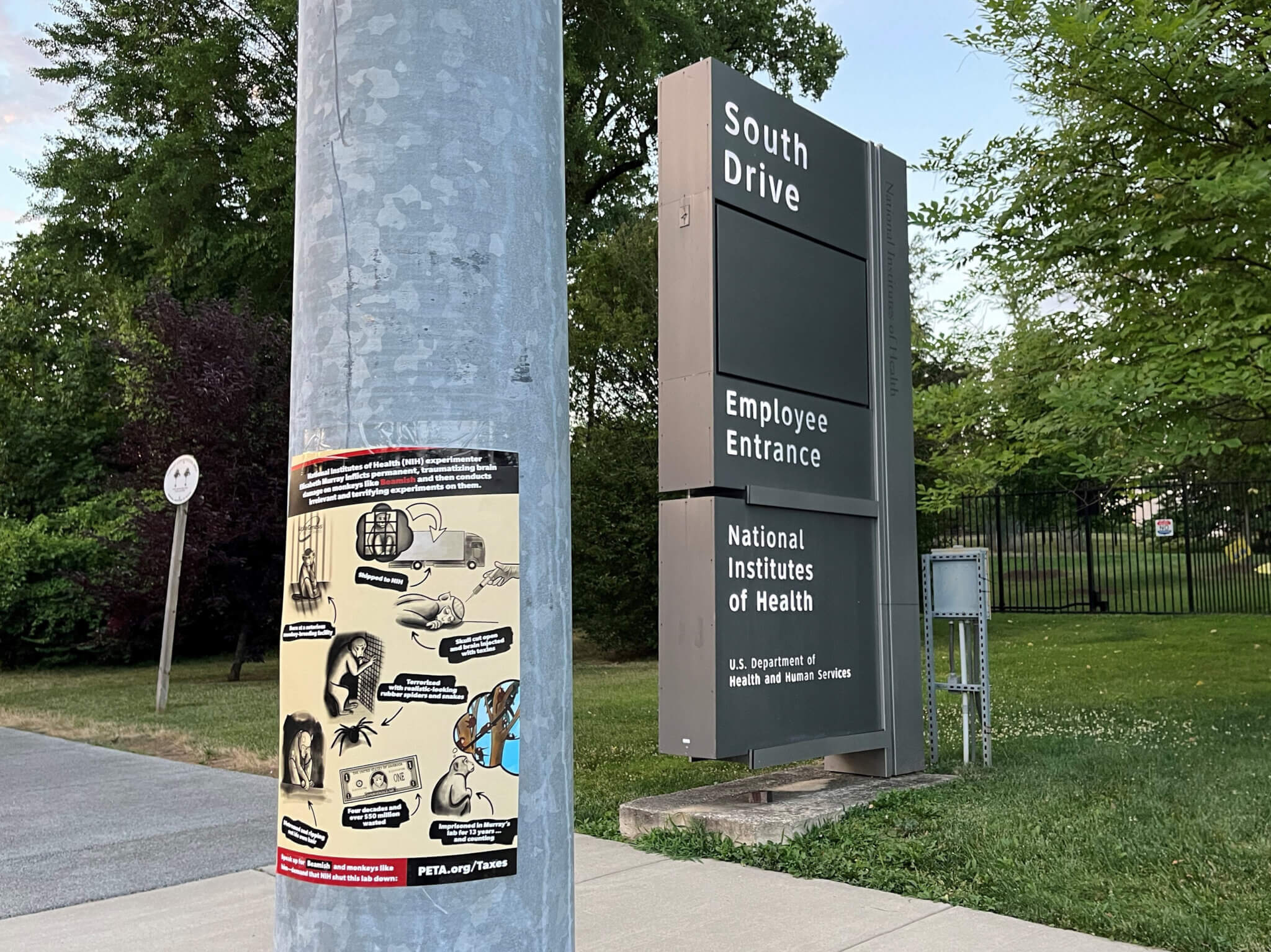 Campaign Updates: Monkey Fright Experiments at NIH | PETA